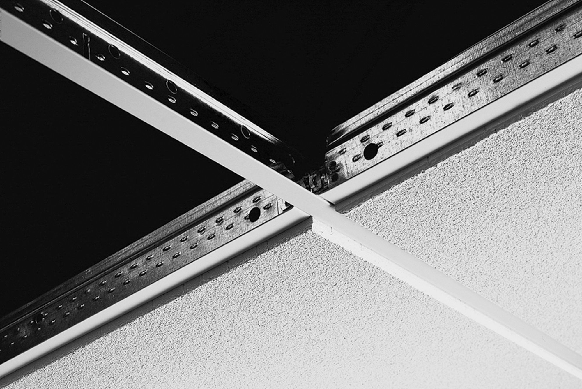 PeakForm Prelude XL² 24mm | Grayking Interior Supply