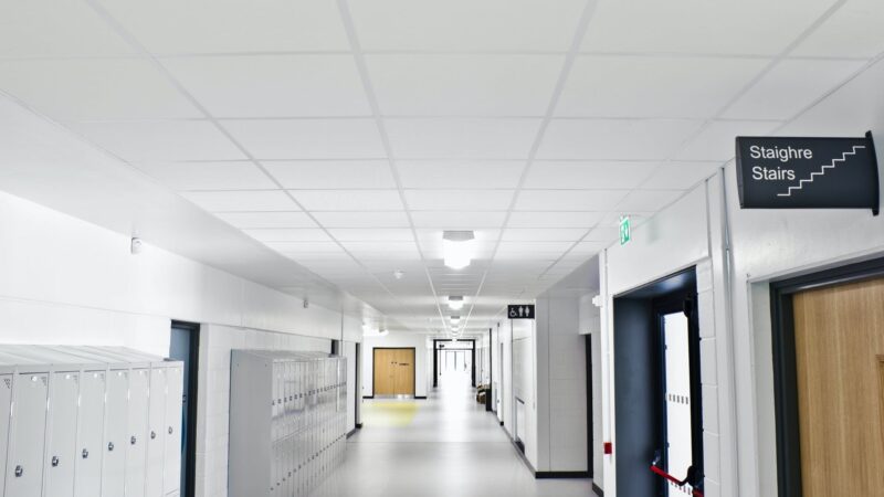 Rockfon Artic | Grayking Interior Supply